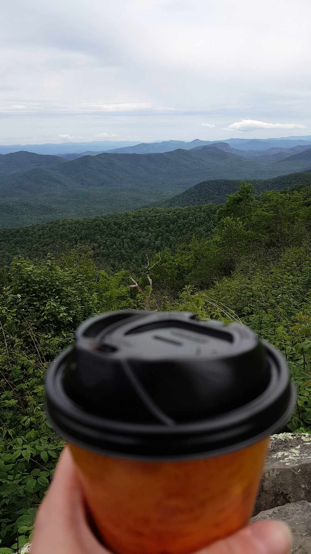 Taste The Asheville NC Food Scene: 30 Of The Best Places To Eat In The ...